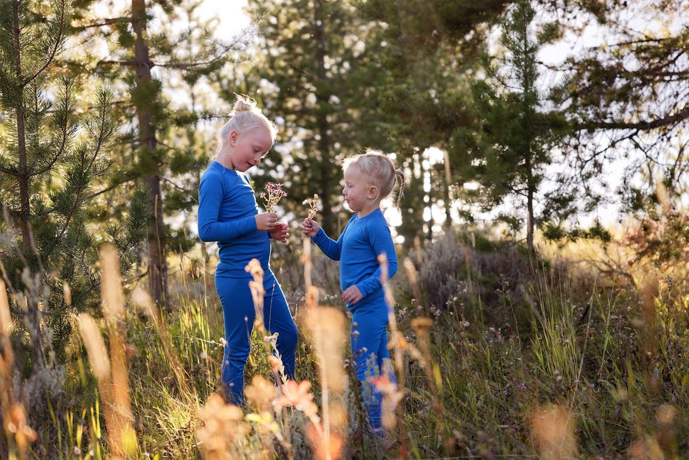 Nature’s Clues: Fun Ways to Predict Winter Weather with Your Little Ik ...